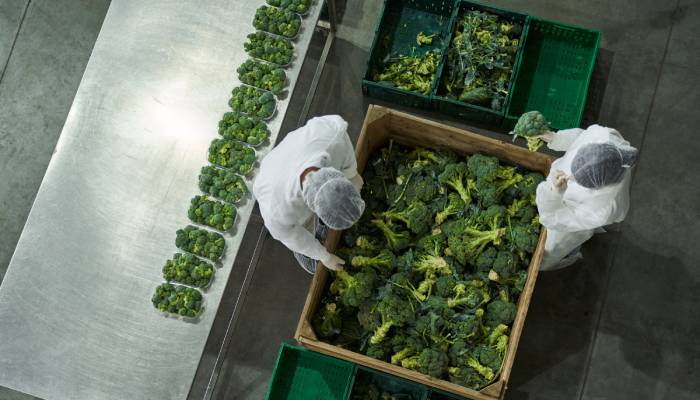 The Most Important KPIs In Food Production